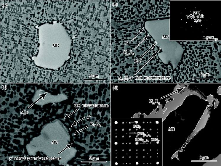 定向凝固DZ444镍基高温合金初生MC碳化物的分解行为