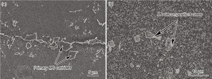 定向凝固DZ444镍基高温合金初生MC碳化物的分解行为