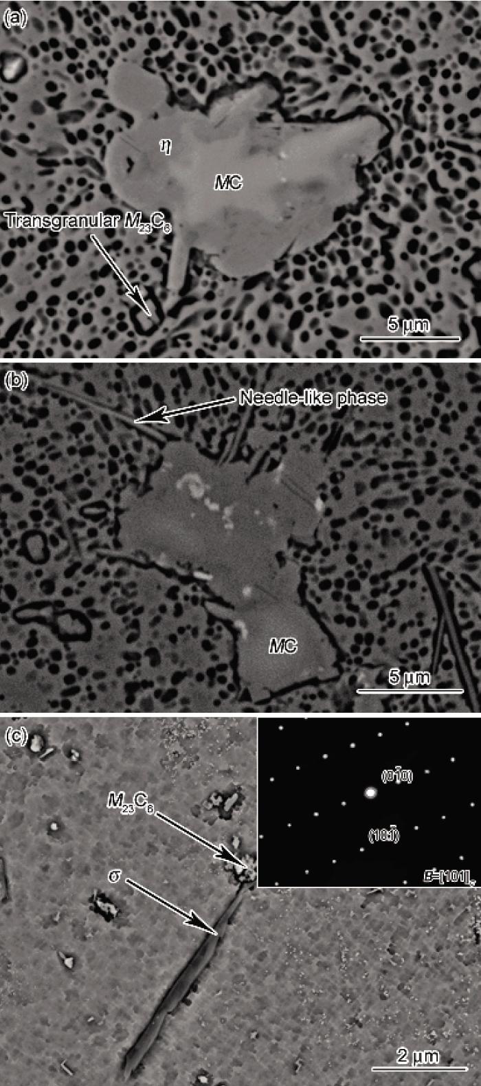 定向凝固DZ444镍基高温合金初生MC碳化物的分解行为