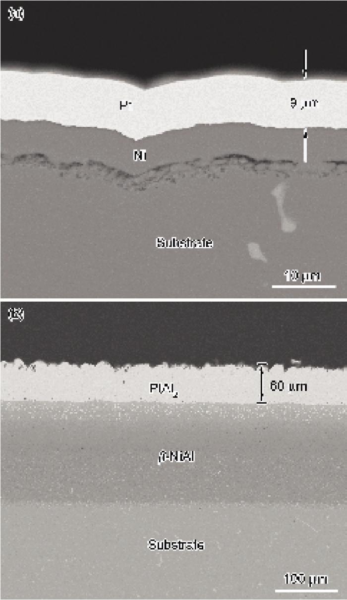PtAl2单相涂层的高温抗氧化性能及失效机制研究