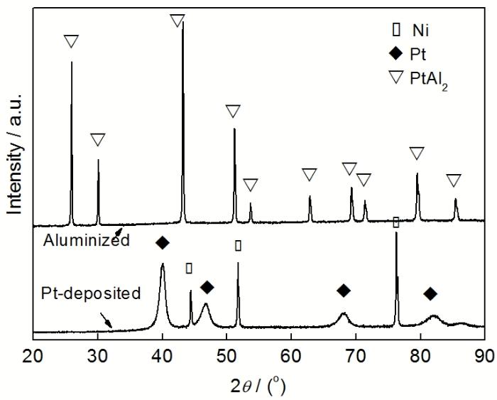 PtAl2单相涂层的高温抗氧化性能及失效机制研究