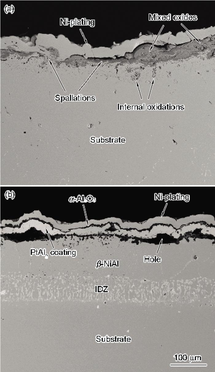 PtAl2单相涂层的高温抗氧化性能及失效机制研究