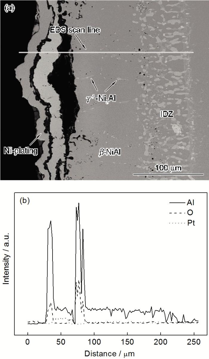 PtAl2单相涂层的高温抗氧化性能及失效机制研究