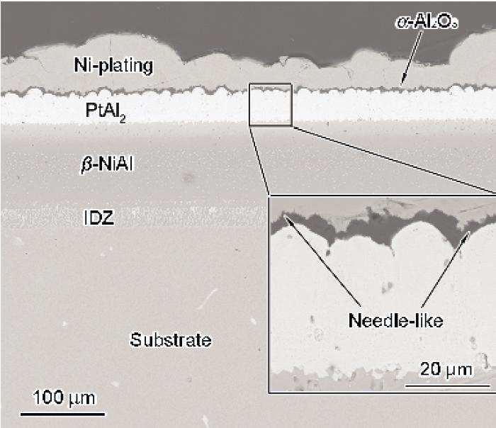 PtAl2单相涂层的高温抗氧化性能及失效机制研究