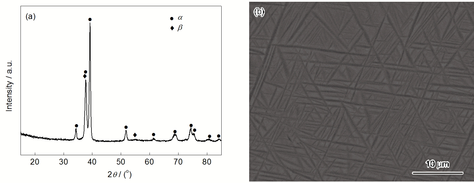 温度对Zr-45Ti-5Al-3V合金准静态力学性能的影响