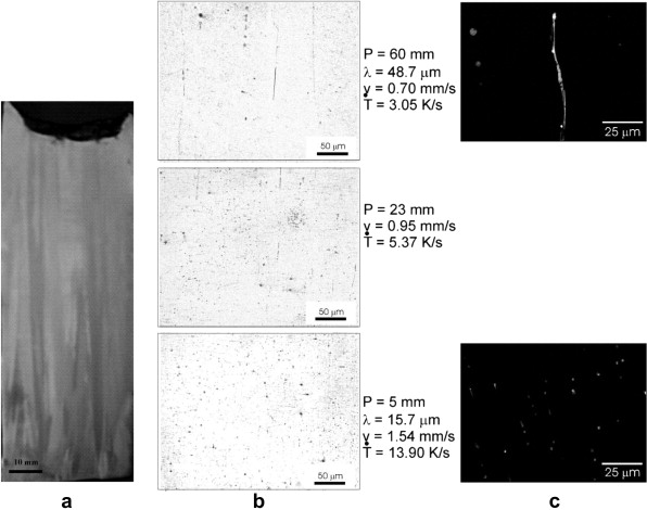 Microstructural Morphologies and Experimental Growth Laws during ...