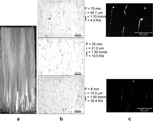 Microstructural Morphologies and Experimental Growth Laws during ...