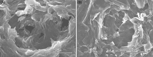 High Temperature Phase Transitions of Graphene Oxide Paper from ...