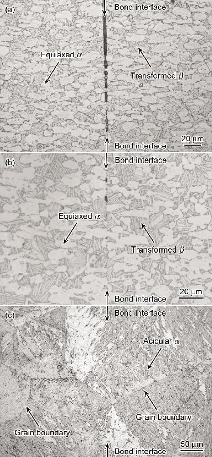 电子束功率对TC4合金刚性拘束热自压连接、接头组织和力学性能的影响