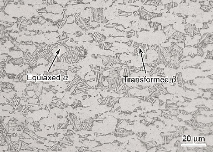 电子束功率对TC4合金刚性拘束热自压连接、接头组织和力学性能的影响