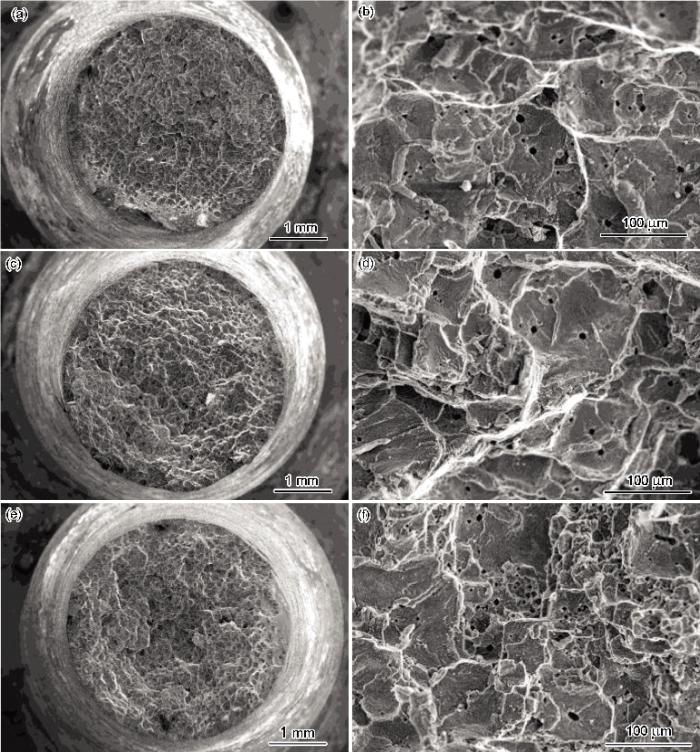 Pt对镍基单晶高温合金持久性能的影响