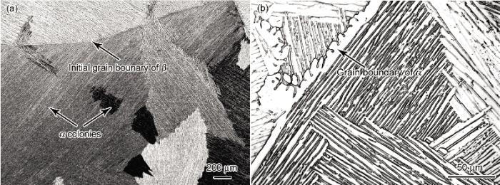 冷床炉熔炼TC1合金轧制过程中组织演变与力学性能*
