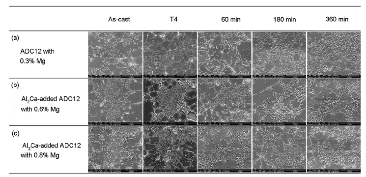 Effects of Mg Enhancement and Heat Treatment on Microstructures and ...