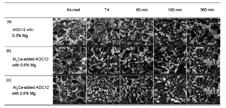 Effects of Mg Enhancement and Heat Treatment on Microstructures and ...