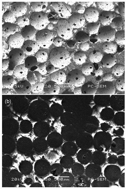 AZ91 Magnesium Alloy/Porous Hydroxyapatite Composite for Potential ...