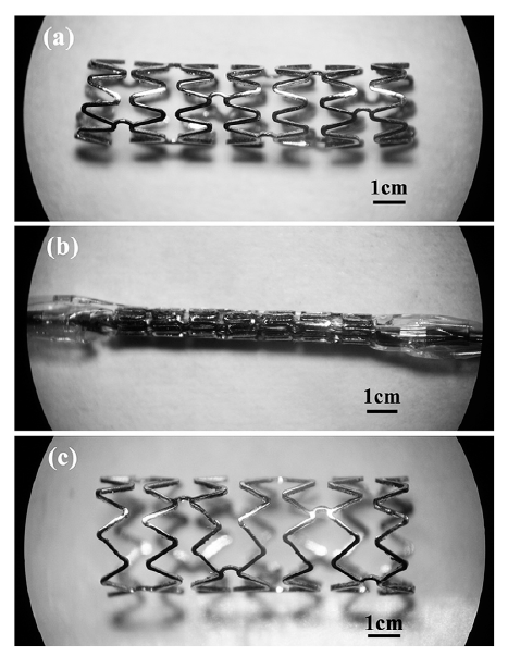 Processing of a Novel Zn Alloy Micro-Tube for Biodegradable Vascular ...