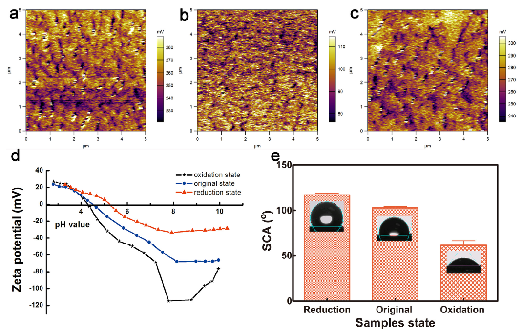 Controllable Protein Adsorption and Bacterial Adhesion on Polypyrrole ...