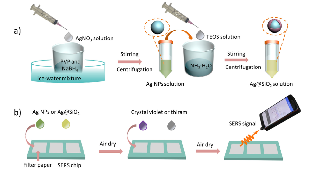 Performance enhancement of paper-based SERS chips by shell-isolated ...