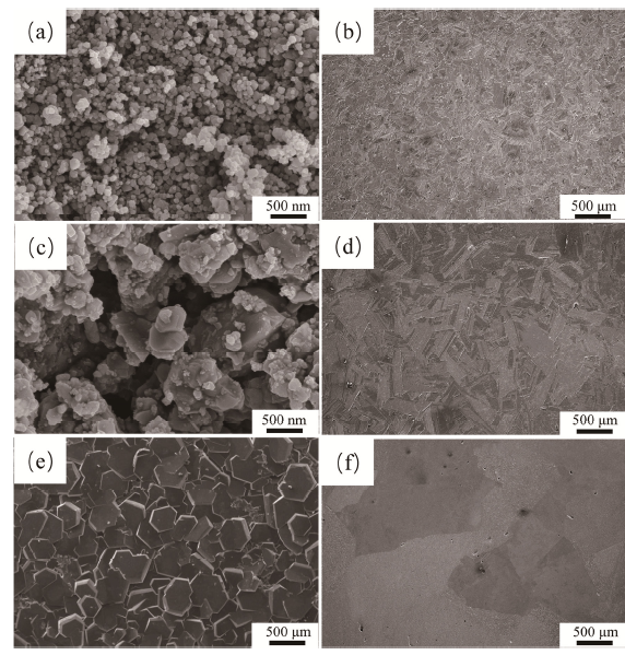 Preparation and characterization of pure SiC ceramics by high ...