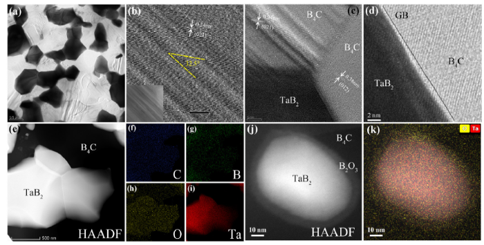 Reactive sintering of B4C-TaB2 ceramics via carbide boronizing ...