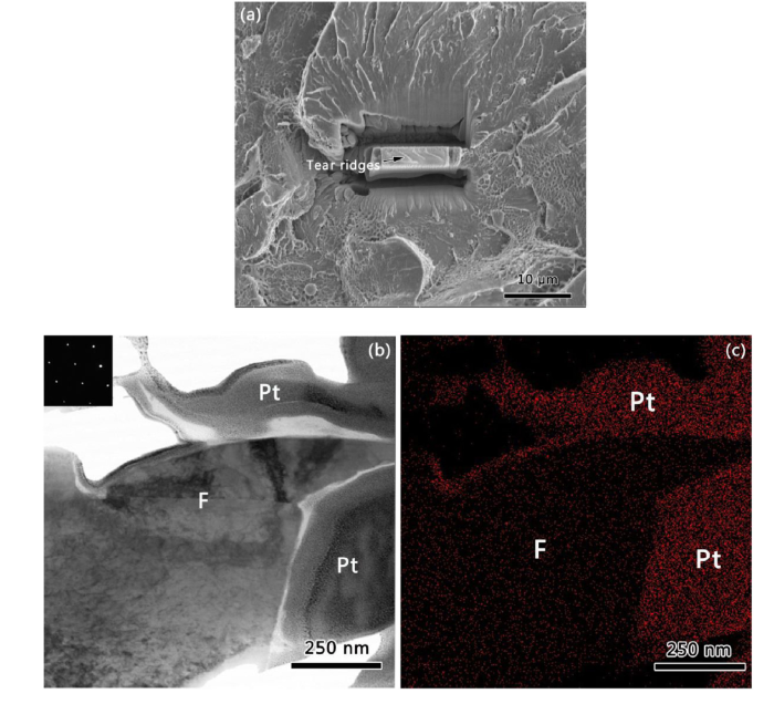 Hydrogen-assisted fracture features of a high strength ferrite-pearlite ...