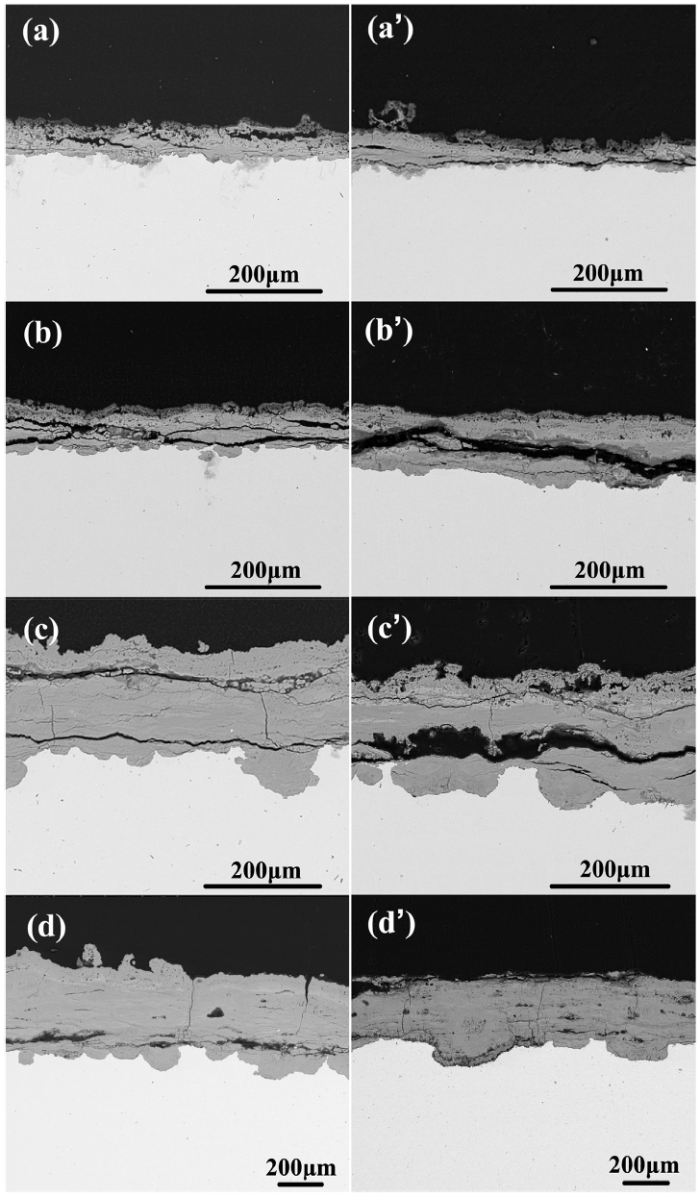 Effect of tin addition on corrosion behavior of a low-alloy steel in ...