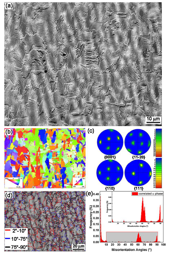 Temperature-gradient induced microstructure evolution in heat-affected ...
