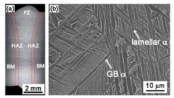 Temperature-gradient induced microstructure evolution in heat-affected ...