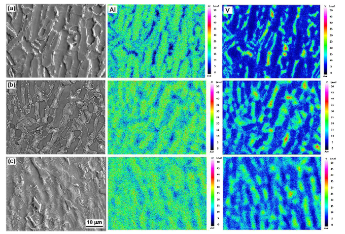Temperature-gradient induced microstructure evolution in heat-affected ...
