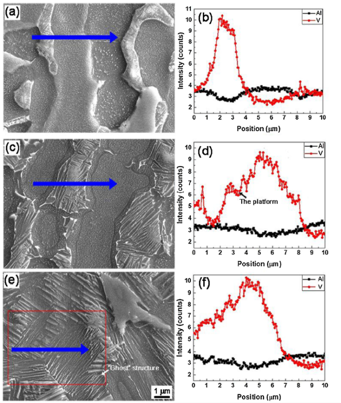 Temperature-gradient induced microstructure evolution in heat-affected ...