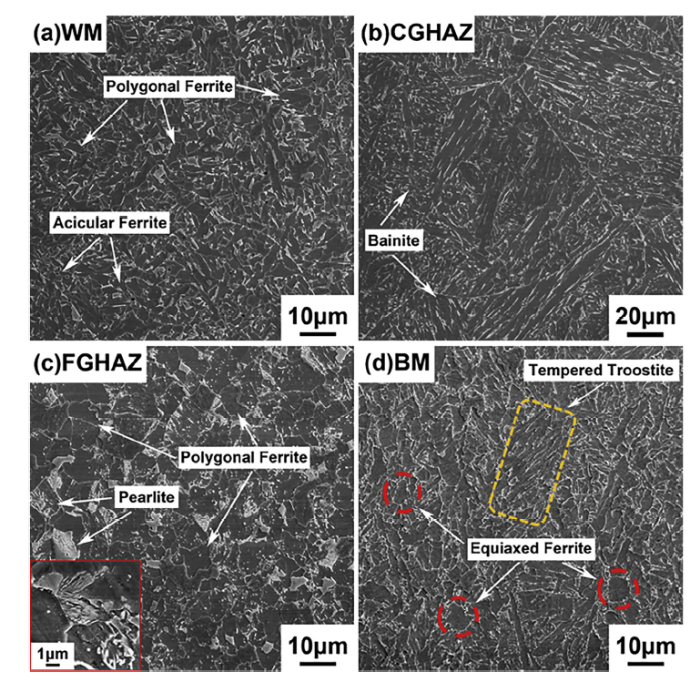 On the heterogeneous microstructure development in the welded joint of ...