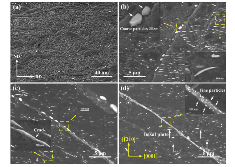 Effects of Mg17Al12 second phase particles on twinning-induced ...