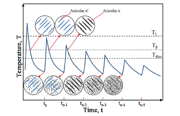 Microstructure and properties of Ti-6Al-4V fabricated by low-power ...