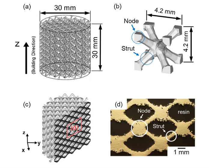 Development of gradient microstructure in the lattice structure of ...