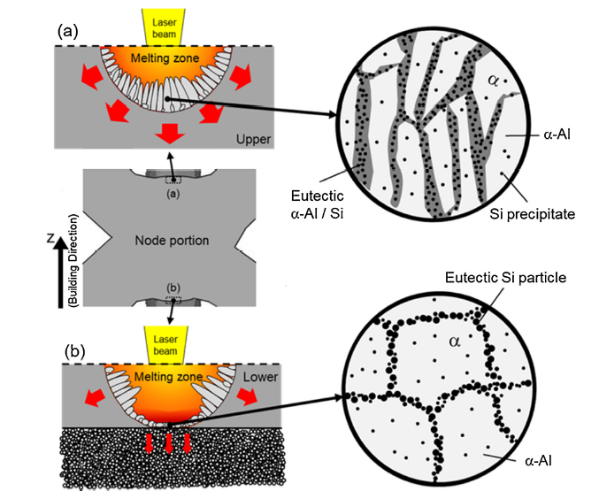 Development of gradient microstructure in the lattice structure of ...