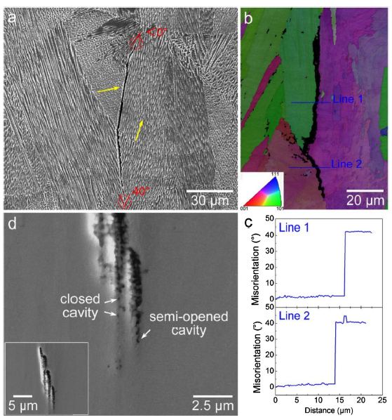 Microstructural evolution and defect formation in a powder metallurgy ...