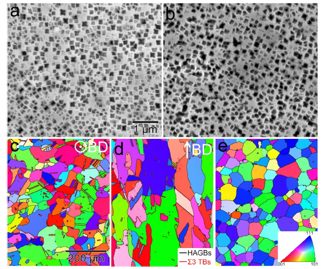 Microstructural evolution and defect formation in a powder metallurgy ...
