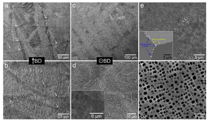 Microstructural evolution and defect formation in a powder metallurgy ...