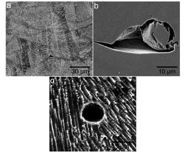 Microstructural evolution and defect formation in a powder metallurgy ...