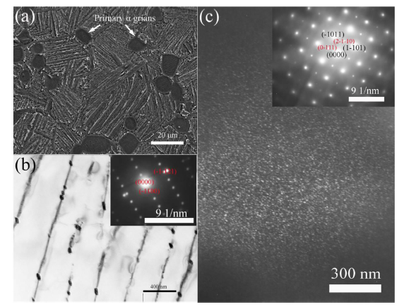 Precipitates and alloying elements distribution in near α titanium ...