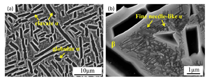 On the nature of a peculiar initial yield behavior in metastable β ...