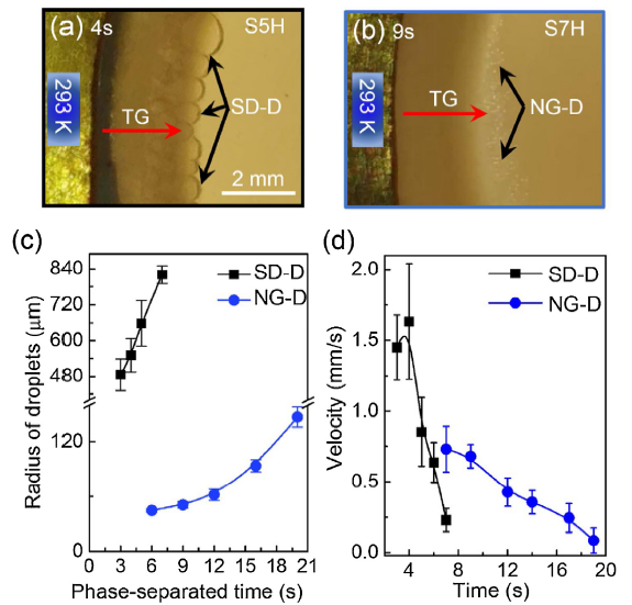 Effect of phase-separated patterns on the formation of core-shell structure