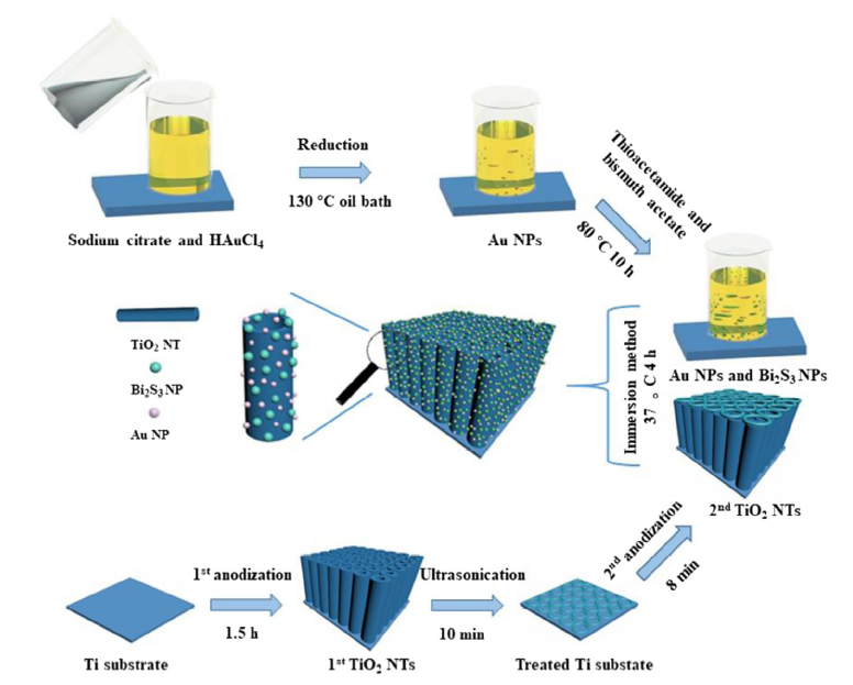 TiO2 nanotube arrays decorated with Au and Bi2S3 nanoparticles for ...