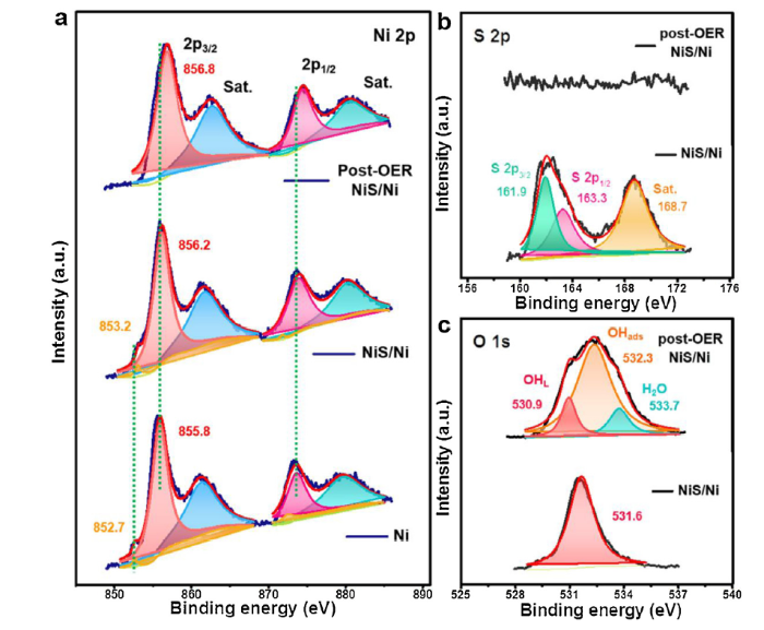 In-situ formed NiS/Ni coupled interface for efficient oxygen evolution ...