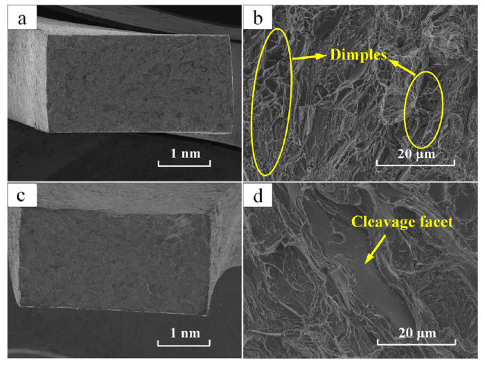 Modification of Mn on corrosion and mechanical behavior of ...
