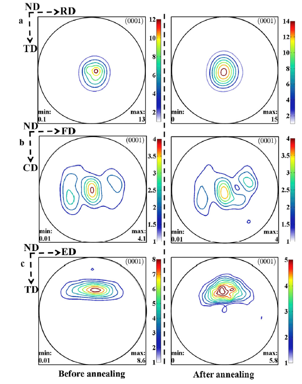 The texture and its optimization in magnesium alloy