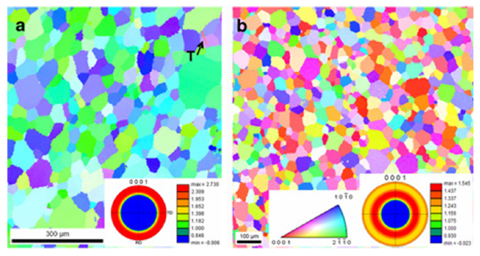 The texture and its optimization in magnesium alloy