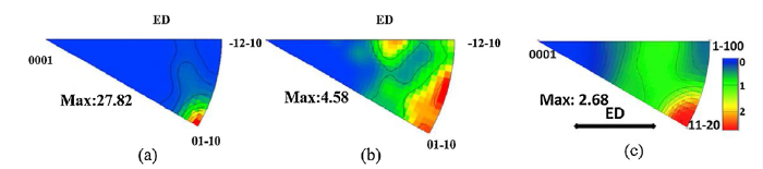 The texture and its optimization in magnesium alloy