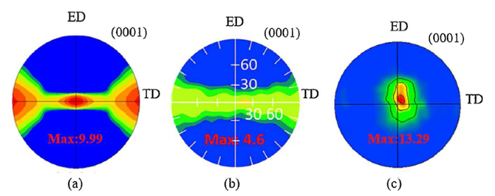 The texture and its optimization in magnesium alloy