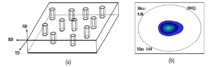 The texture and its optimization in magnesium alloy